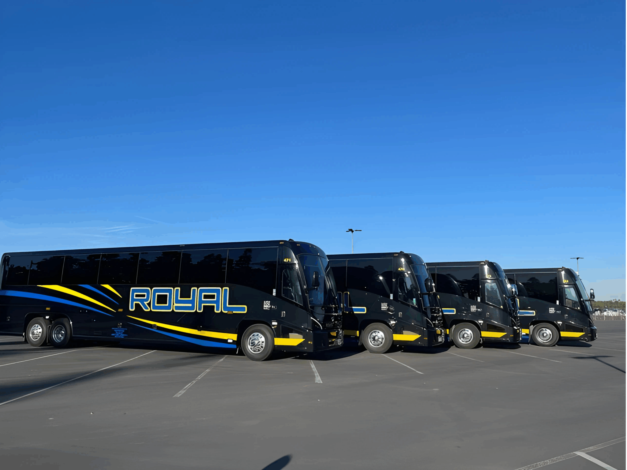 56 Passenger Charter Bus - Bay Area, Las Vegas & Phoenix